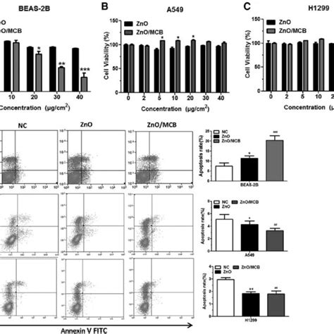 zno mcb could promote cell proliferation and impede cell apoptosis in