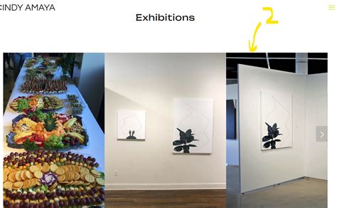 What Code Should I Use To Get The Hover Effect On The First Image And