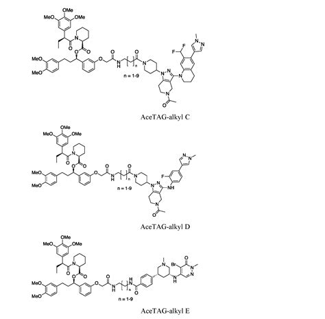 Wo2022187633a1 Protein Acylation Modulation By Heterobifunctional