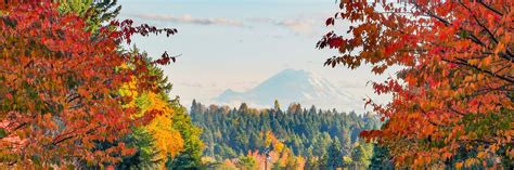 Get Funding Implementation Science At Uw