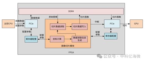 Fpga Gpu Fpga