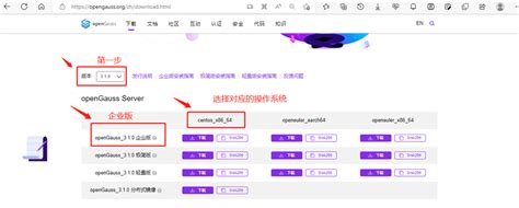 手把手教你安装openGauss opengauss下载 CSDN博客