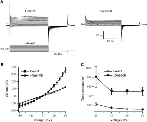 Effect Of Cb On Iev Relationship And Activation Time Constants Of I