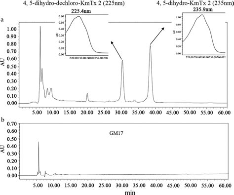 Typical Reverse Phase Hplc Chromatogram For Download Scientific Diagram