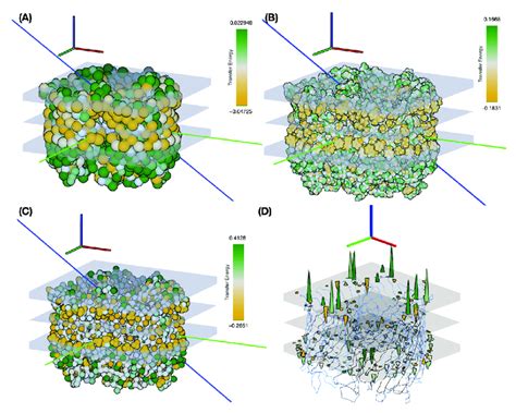 Interactive Membrane Insertion Of Maltoporin At Different Scales Of