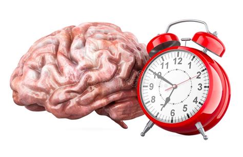 Brain With Alarm Clock 3d Rendering Stock Illustration Illustration