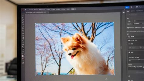 Ai 파일 변환 열기 뷰어 일러스트레이터  확장자 편집 방법 네이버 블로그