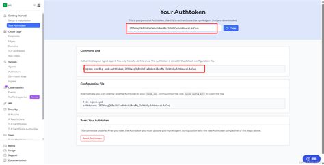 ngrok实现内网穿透详细教程 ngrok教学 csdn博客