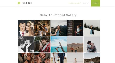 Photo Gallery Sliders Proofing And Themes Nextgen Gallery