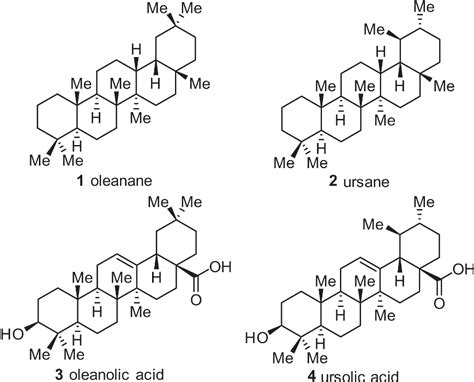 Figure 1 From Synthesis Of Oxygenated Oleanolic And Ursolic Acid Derivatives With Anti