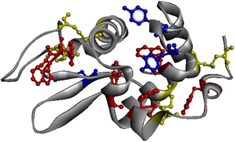 Lyz Molecular Structure According To 2lyzpdb Aromatic Residues Are Download Scientific