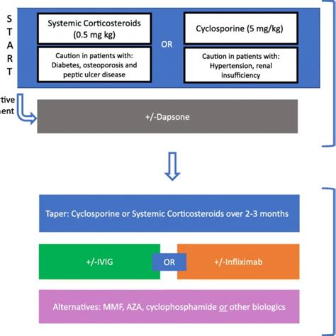 Pathogenesis Of Pyoderma Gangrenosum This Schematic Diagram Addresses
