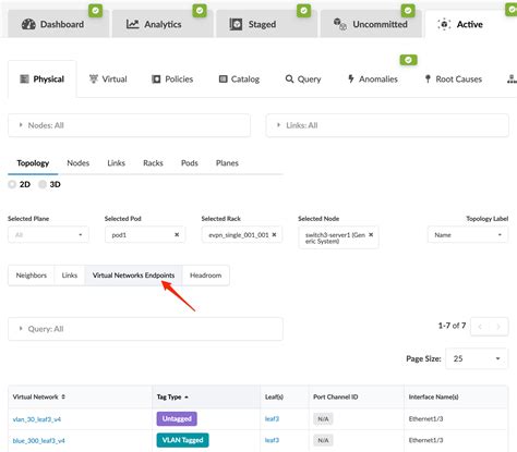 Virtual Networks Endpoints Active Apstra 4 1 Juniper Networks