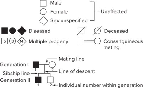 genetics chapter 1 flashcards quizlet