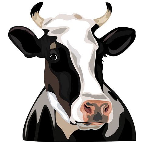 Cow Svg Cow Face Svg Dairy Cow Svg Cow Vector Cows Svg Etsy My Xxx