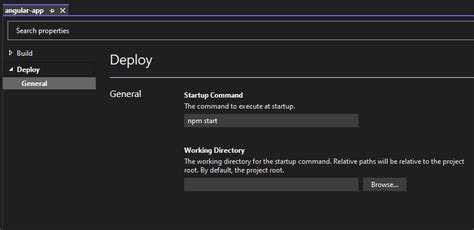 Asp Net Core Missing Property Options In Visual Studios Angular App