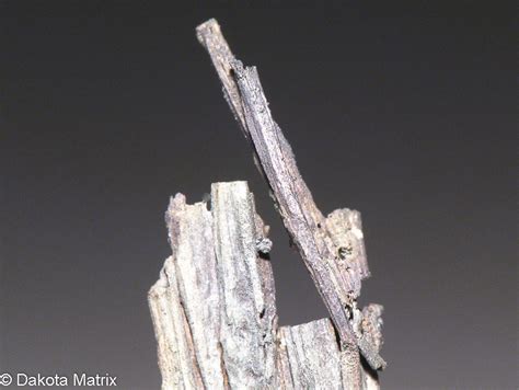 Silver Mineral Specimen For Sale