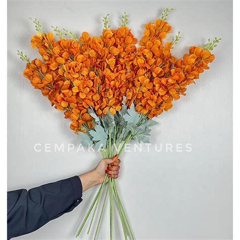 Bunga Harum Sundal Malam Bunga Jagung Hiasan Pelamin Matthiola Flower