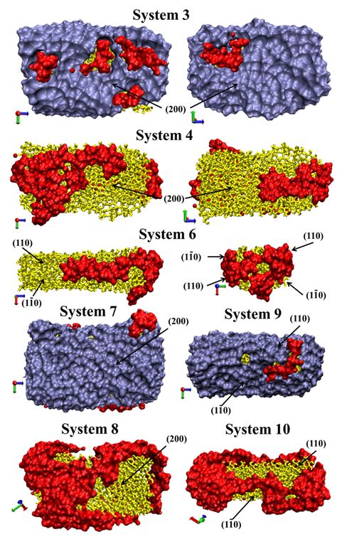 Snapshots Of Solvation Shells At A Distance Of 05 Nm From Cnc Yellow