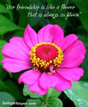 Flower Quotes About Friendship Quotesgram