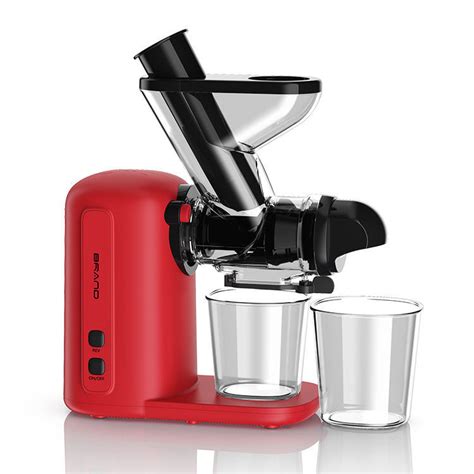 Horizontal Slow Juicer Extractor Machine Masticating Jucer Maker Machine Mini Double Mouth