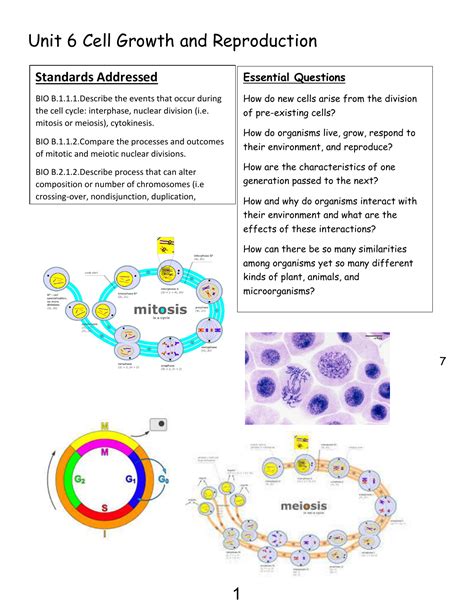 Amoeba Sisters Video Recap Mitosis Vs Meiosis Answer Key Werybros