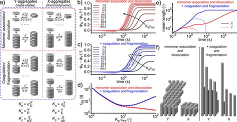 The Influence Of Fragmentation And Coagulation On Self Assembly Download Scientific Diagram