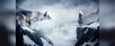 عالی ترین متن و عکس گرگ برای پروفایل؛ عکس نوشته در مورد گرگ