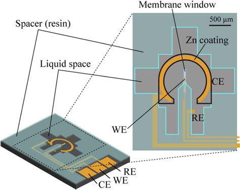 Schematics Of The Electrochemical Mems Chip And The Design Of The