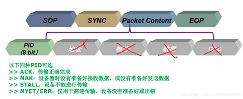 1、usb传输、传输事务、包usb分包处理 Csdn博客