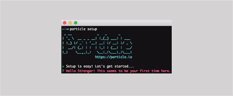 Running Particle Cli In Any Os To Manage Libraries Locally