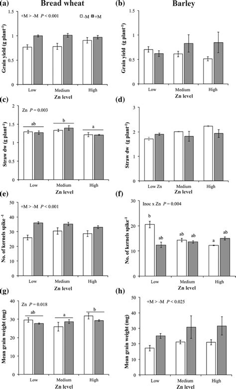 Effect Of Zn Application And Amf Inoculation With Rhizophagus