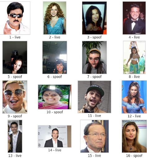 [论文审查] Liveness Detection In Computer Vision Transformer Based Self Supervised Learning For