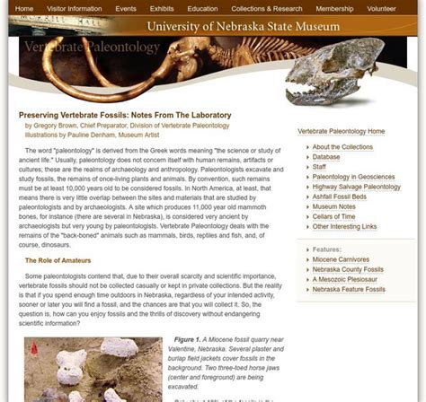 Univ Of Nebraska Museum Preserving Vertebrate Fossils Website For 9th