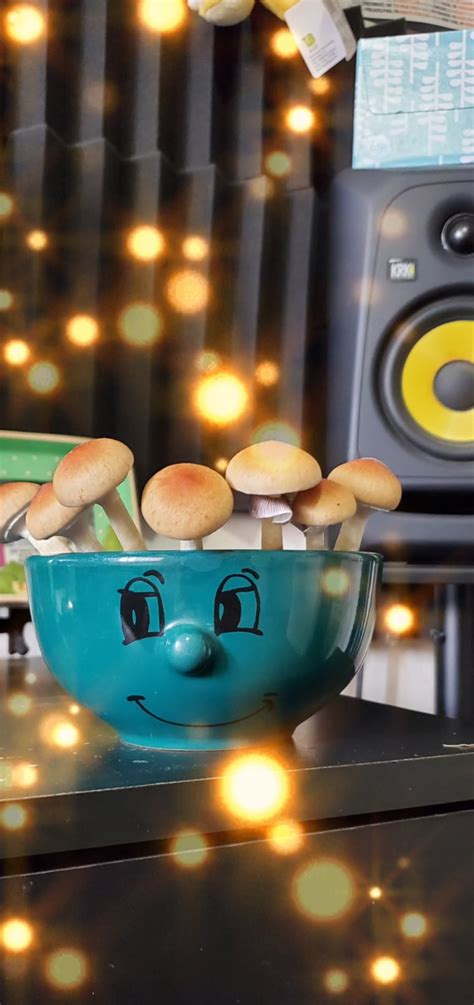 [actives] Having Some Fun Harvesting R Mushroomgrowers