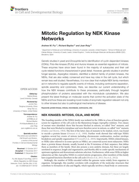 pdf mitotic regulation by nek kinase networks