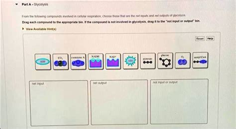 Solved Texts Part A Glycolysis From The Following Compounds