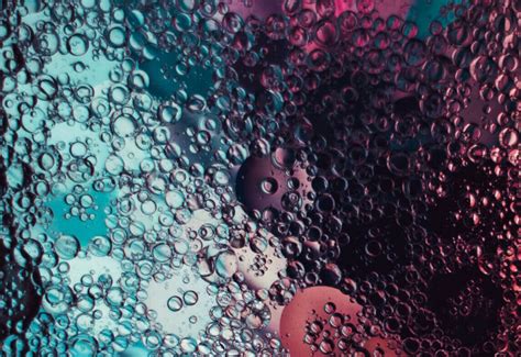 Motion Integration Ekşioğlu Kanek