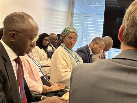 Growth Sustainable Economy Abdullahi Muhammad Ladan Fimc Cmc