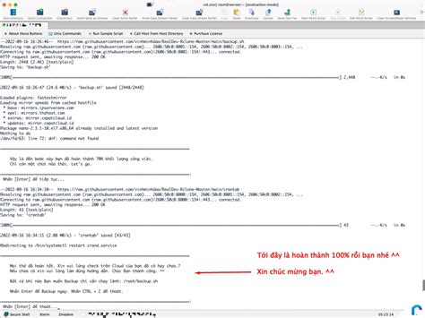 Script Rclone Master Backup By Realdev Tự động Backup Vps Server Lên Cloud Realdev