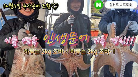 연속 이틀 인생문어 기록 갱신~~ Youtube