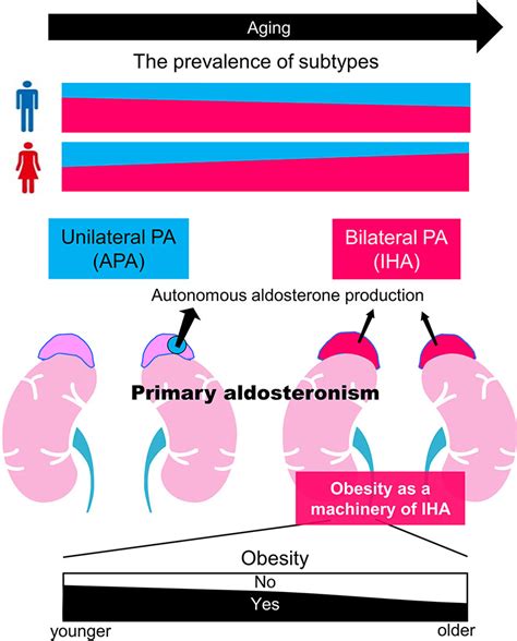 Sex Difference In The Association Between Subtype Distribution And Age At Diagnosis In Patients Sex Difference In The Association Between Subtype Distribution And Age At Diagnosis In Patients
