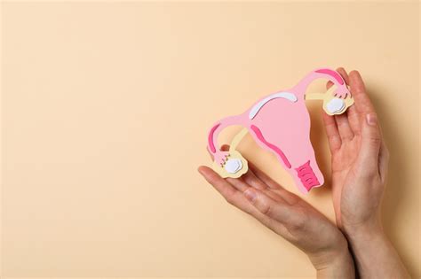 Which Size Of Fibroid Is Dangerous Learn Key Facts Now