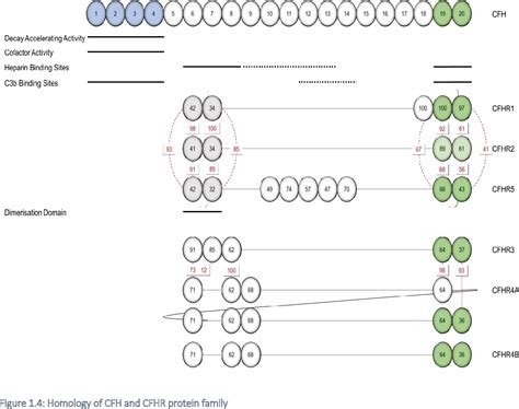 Figure 11 From Complement Factor H Related Proteins And Their