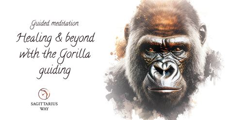 Guided Meditation Healing And Beyond With The Gorilla Guiding Sagittarius Way
