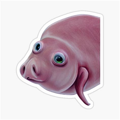 Cute Blobfish Sticker For Sale By GamingMads Redbubble