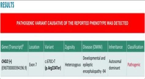 Genetic Test Report Of Case 2 Download Scientific Diagram