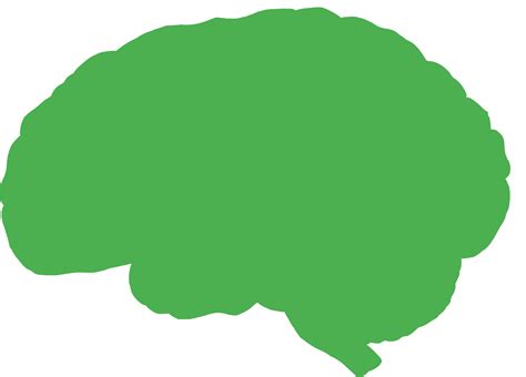 Svg 뇌 신경학 구조 해부 무료 Svg 이미지 및 아이콘 Svg Silh