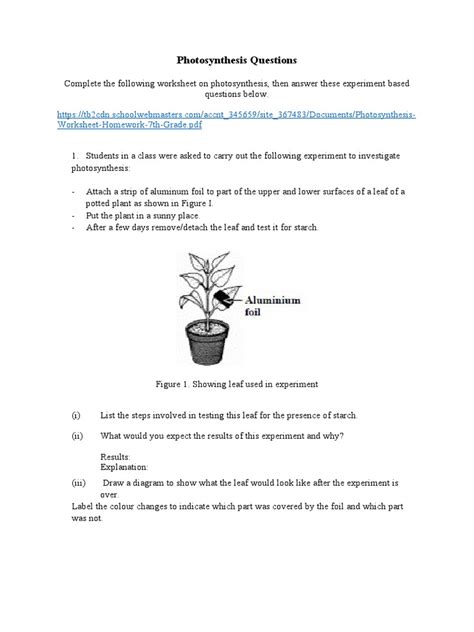 Photosynthesis Question Pdf