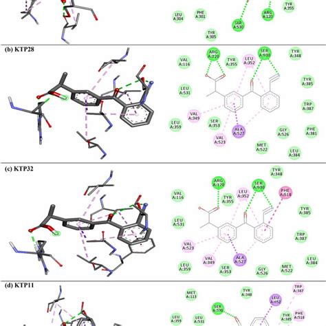 2 D And 3 D Molecular Docking Interactions Of A S Ktp B Ktp28 C